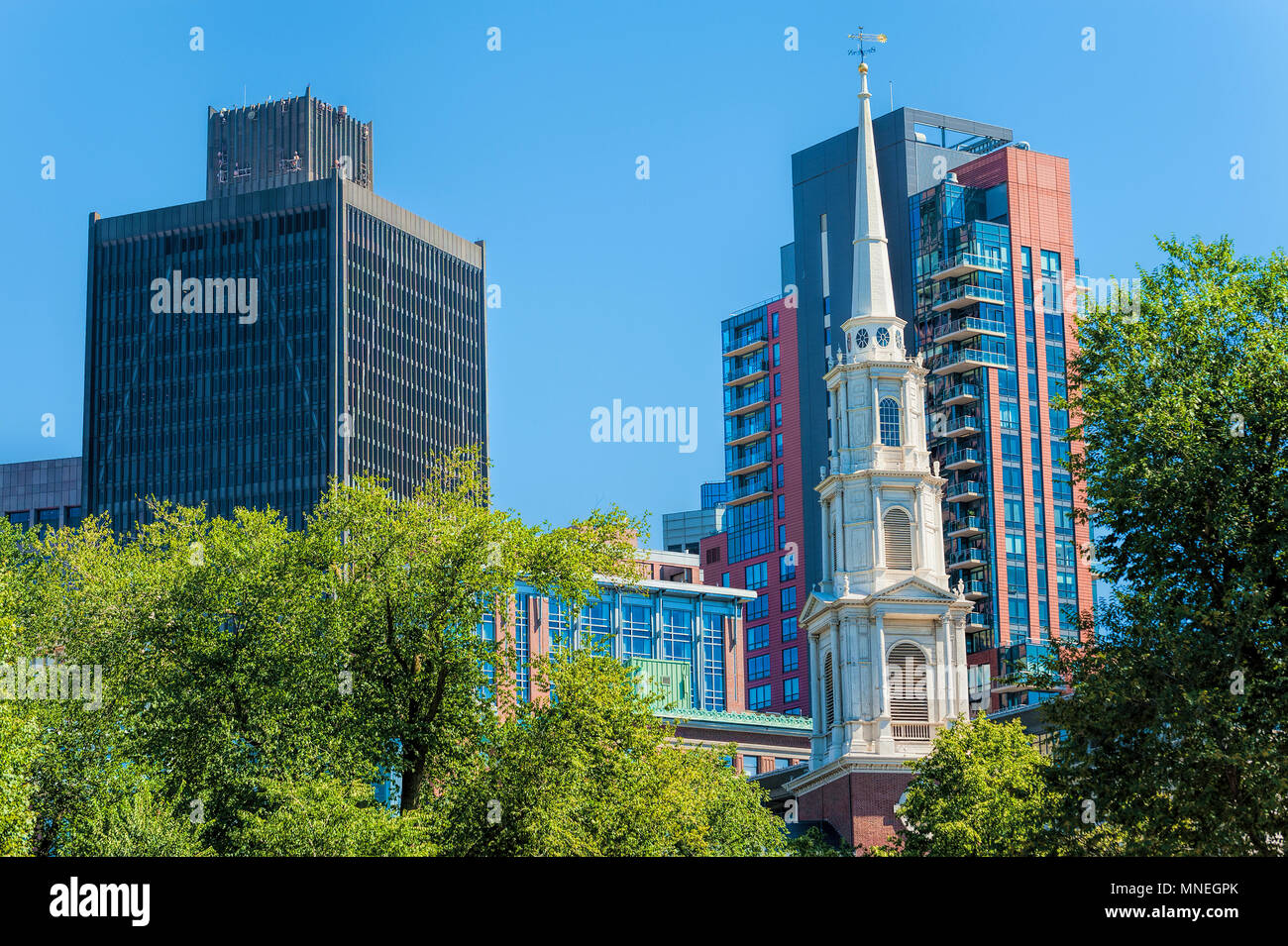 Boston trees skyline hi-res stock photography and images - Alamy