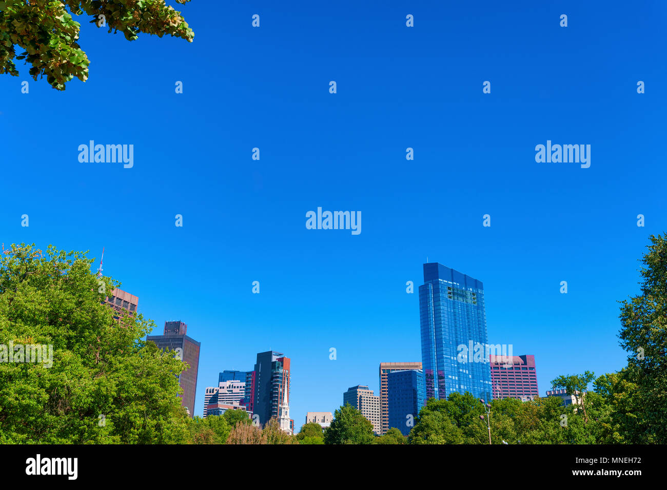 Skyline view from the Boston Commons Park in Boston, Massachusetts ...