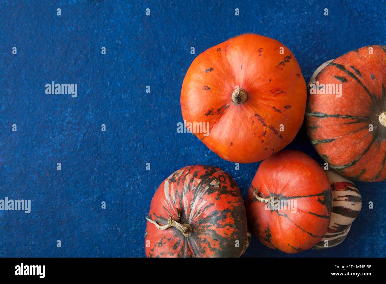 Four types of pumpkin hi-res stock photography and images - Alamy