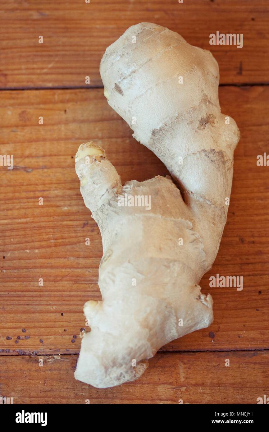 Ginger root and bird's eye hi-res stock photography and images - Alamy