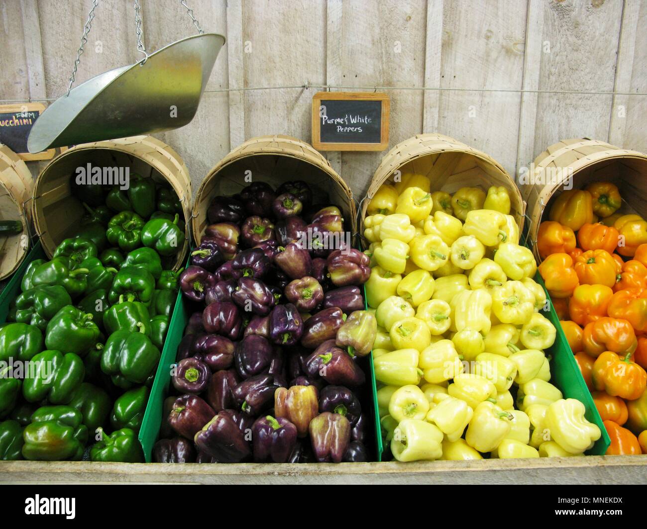 Various types of peppers at a farmers market Stock Photo - Alamy