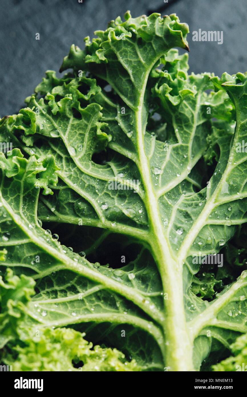 One kale leaf hi-res stock photography and images - Alamy