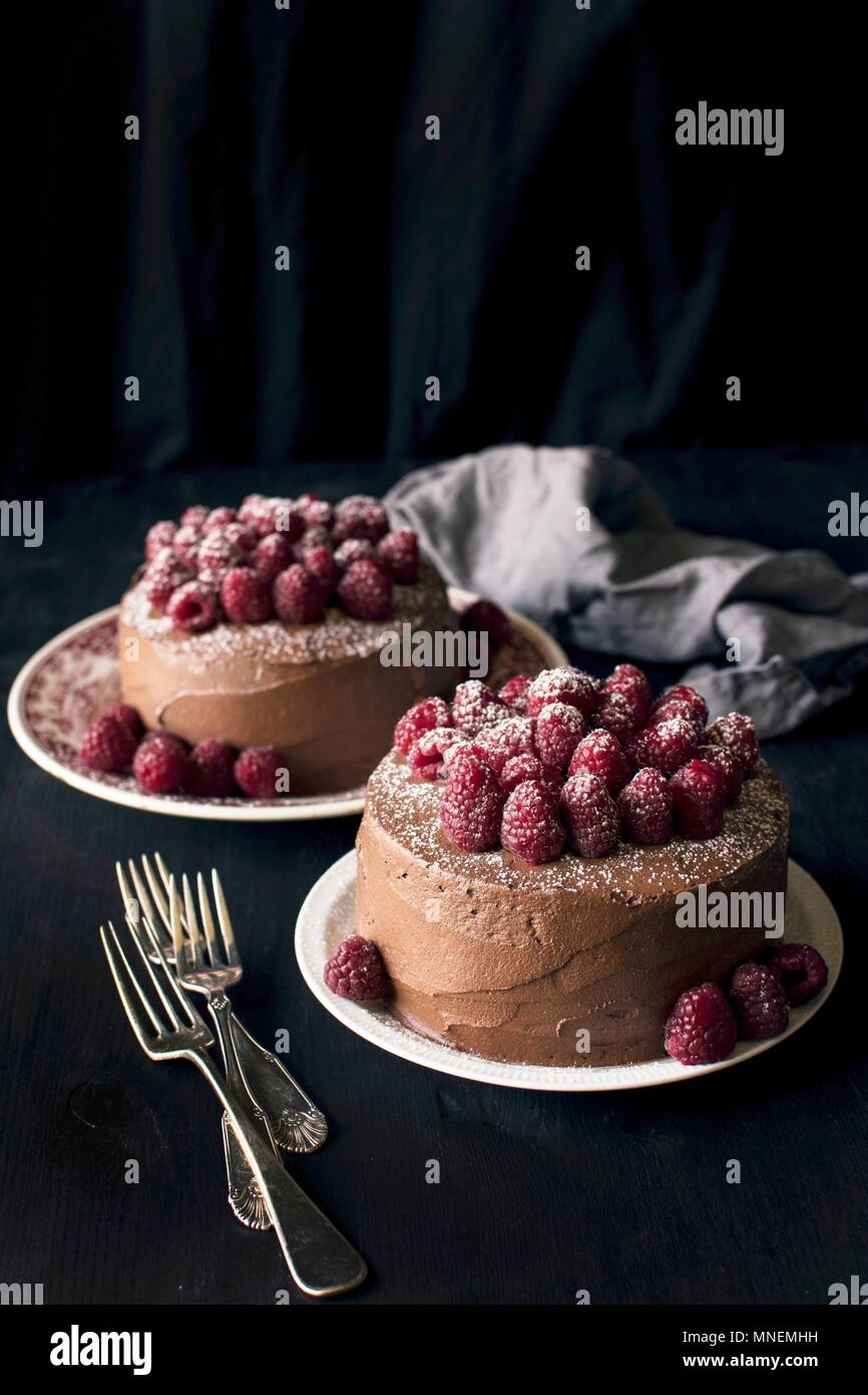 Chocolate cake and raspberries Stock Photo - Alamy
