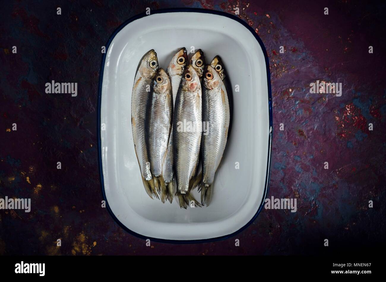 Sprats dark background hi-res stock photography and images - Alamy