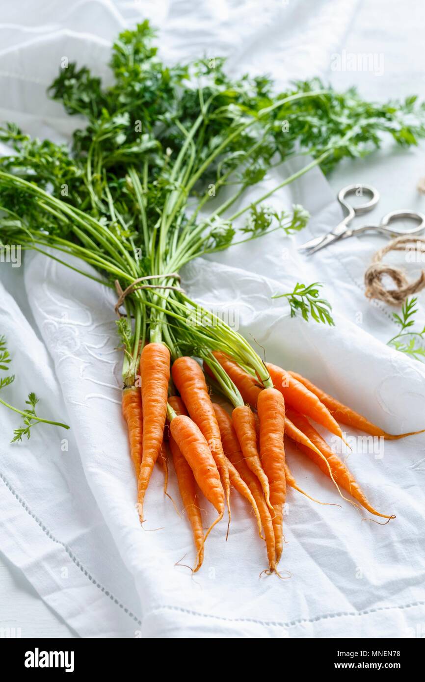 A bunch of carrots with tops Stock Photo - Alamy