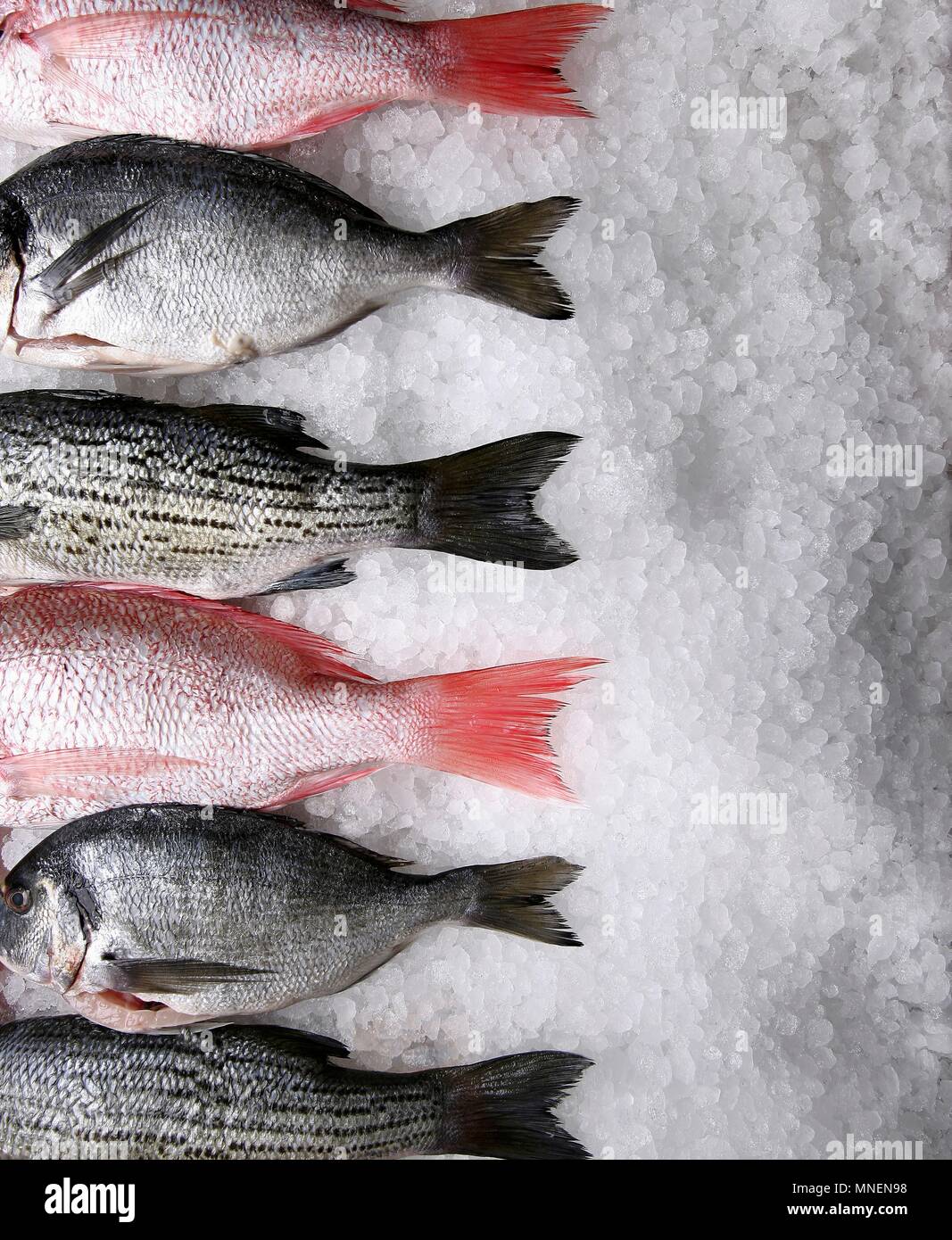 Selection fresh on ice fish hi-res stock photography and images - Alamy