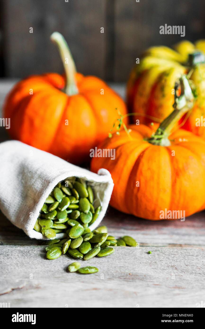 An arrangement of pumpkins and pumpkin seeds Stock Photo - Alamy