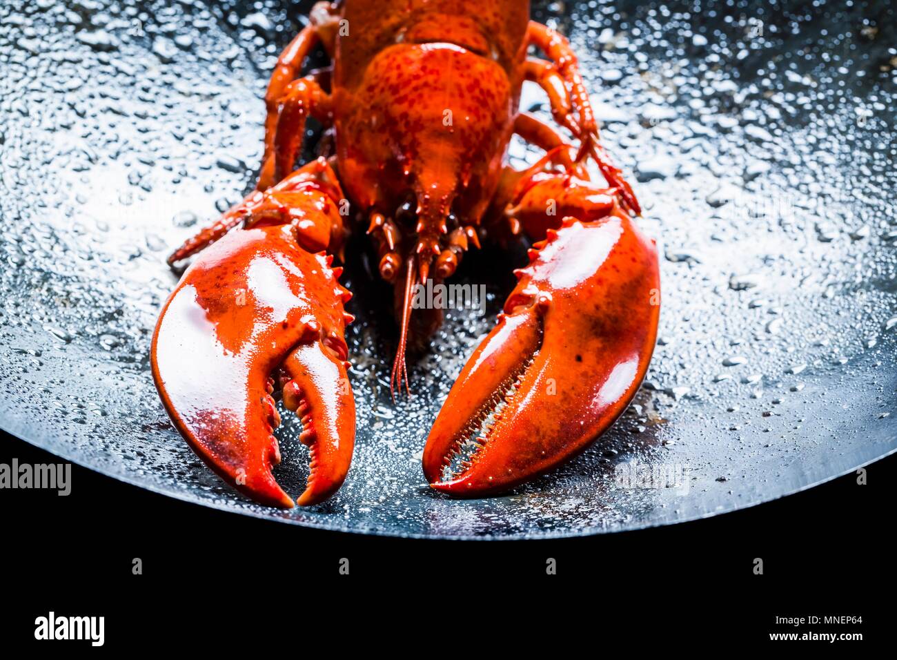 Big red lobster hi-res stock photography and images - Alamy