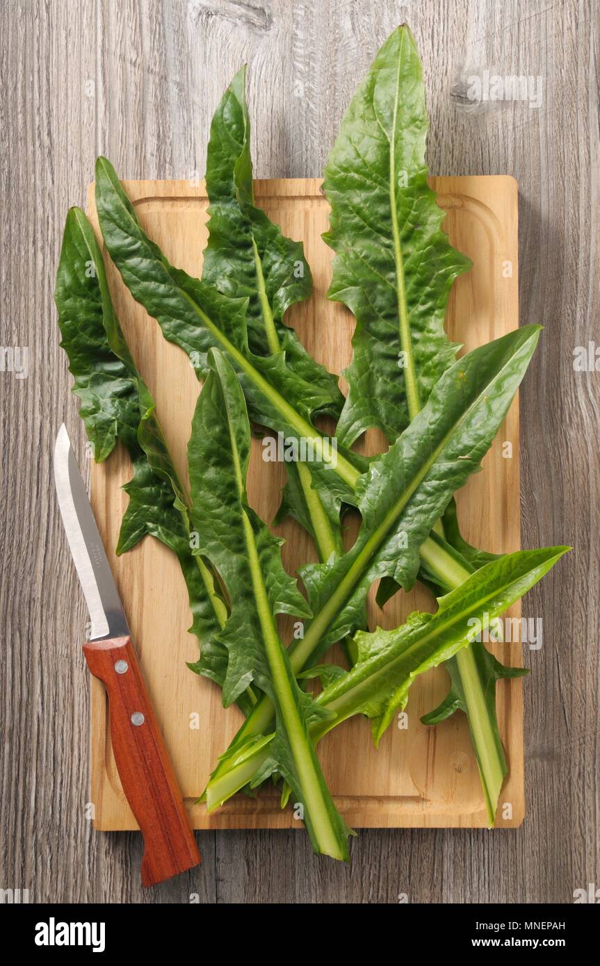 Catalogna lettuce hi-res stock photography and images - Alamy