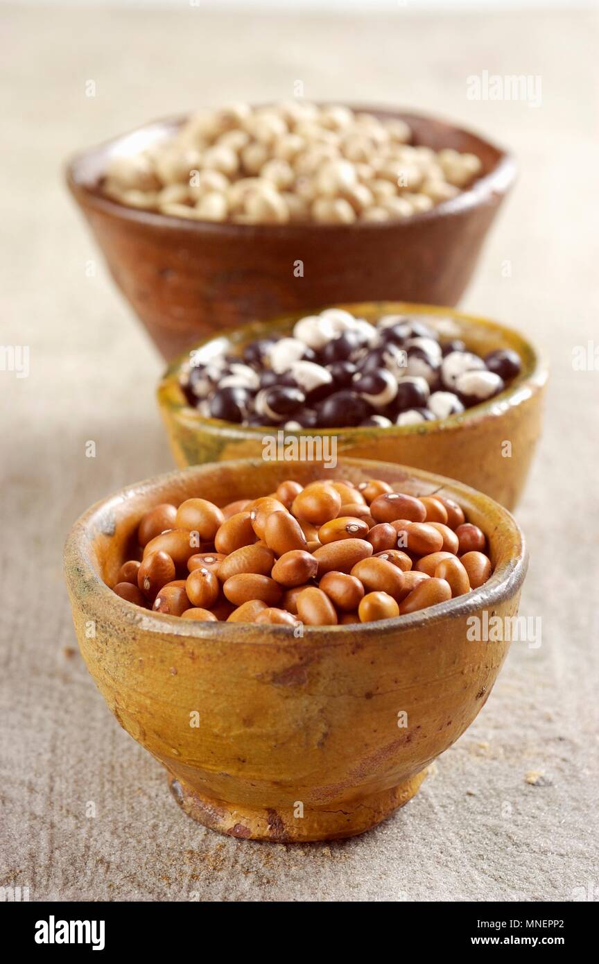 Various types of Italian beans in wooden bowls Stock Photo - Alamy