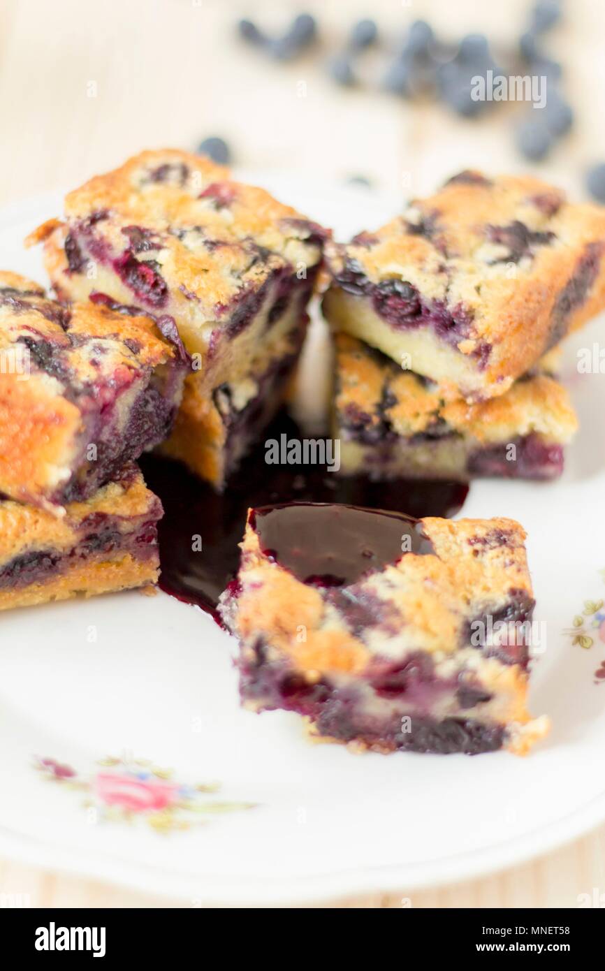 Blueberry cake slices with a chocolate sauce Stock Photo - Alamy