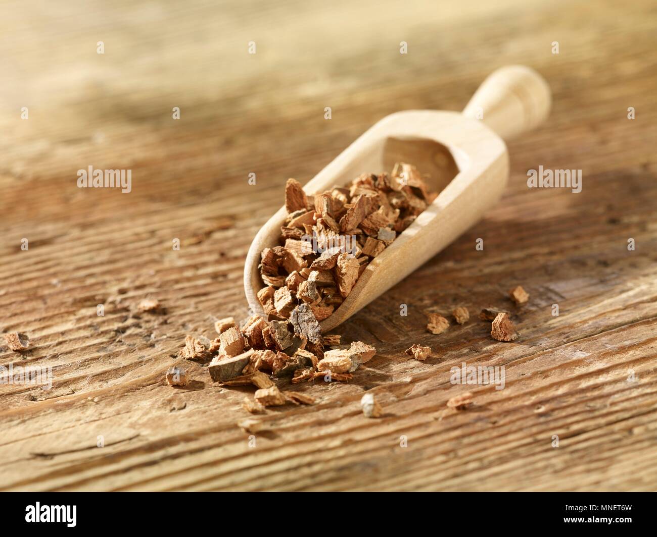 Quercus cortex hi-res stock photography and images - Alamy