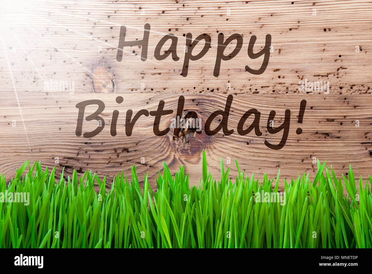 English Text Happy Birthday. Spring Season Greeting Card. Bright, Sunny ...