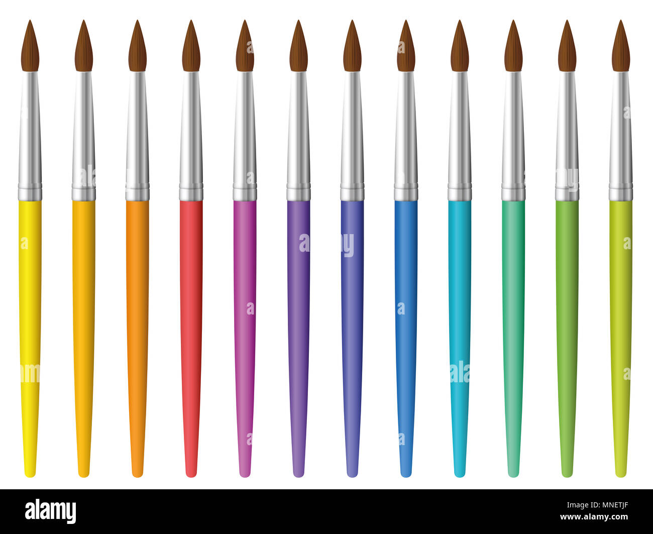Paint brushes. Set of twelve rainbow colored paintbrushes on white ...
