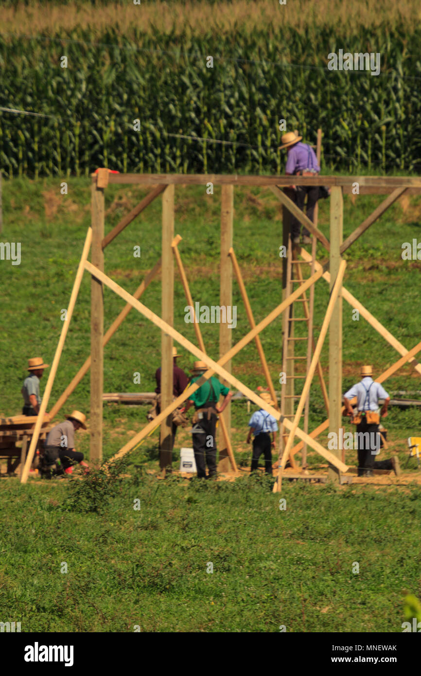 New Providence, PA, USA - July 30, 2013: A crew of Amish carpenters ...