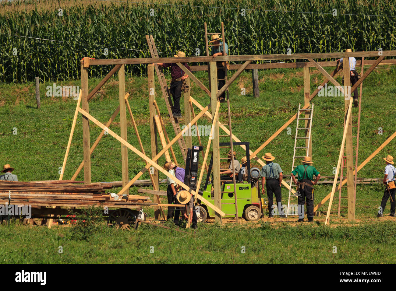 New Providence, PA, USA - July 30, 2013: A crew of Amish carpenters ...