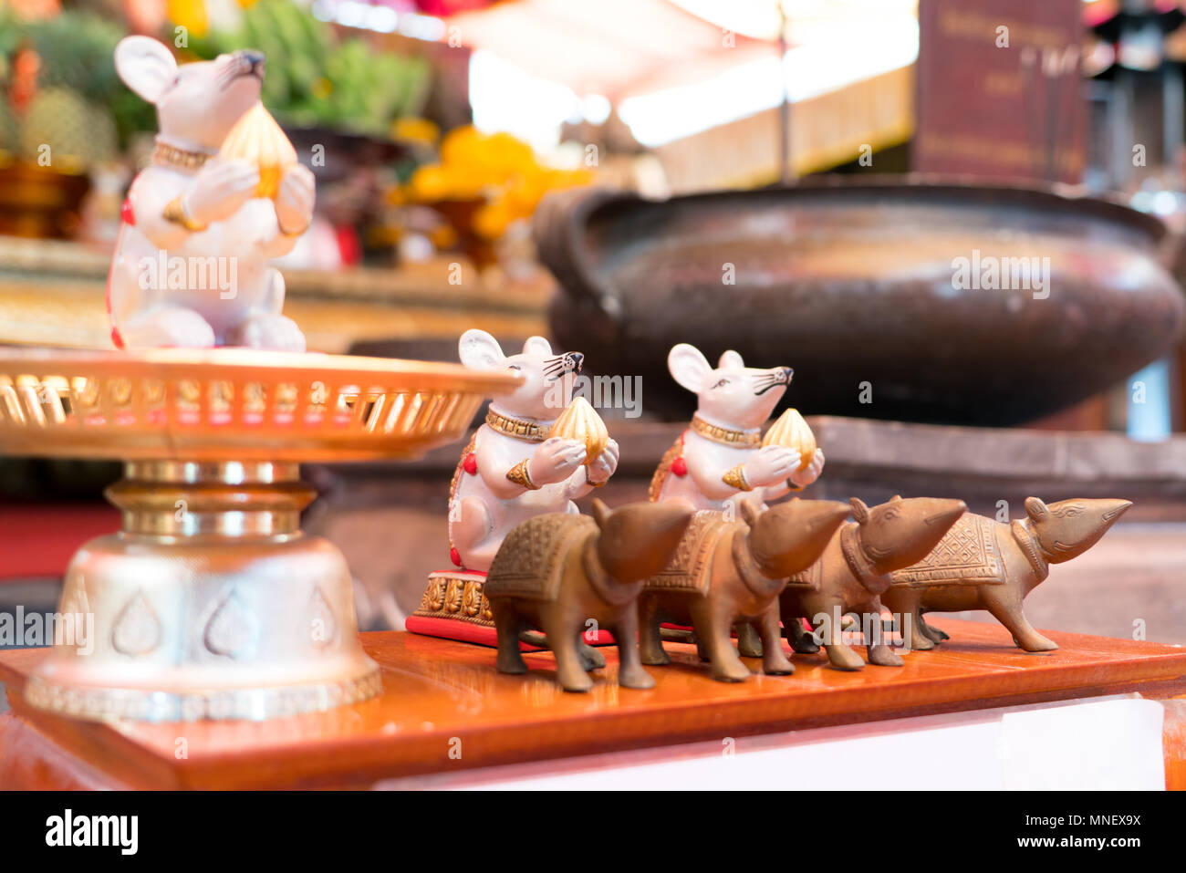 Shrine rat temple hi-res stock photography and images - Alamy