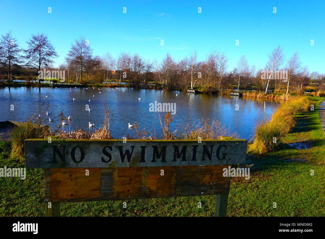A lake at the Northolt & Greenford Countryside Park, Northolt ...
