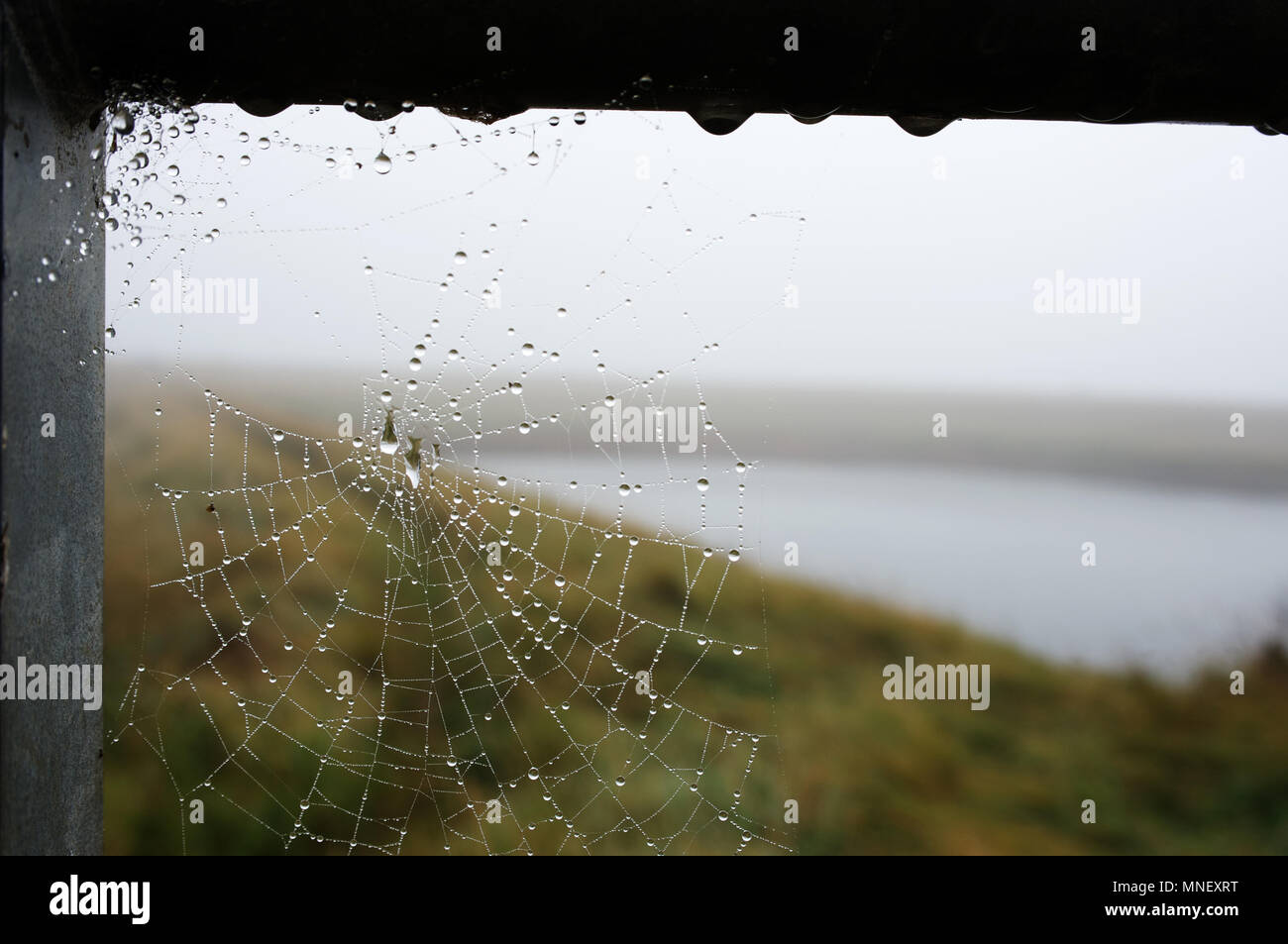 Spiders web in the window of a wartime bunker Stock Photo - Alamy