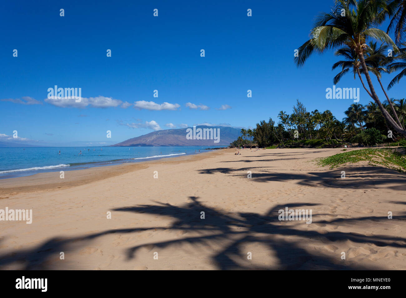 Young beach hi-res stock photography and images - Alamy