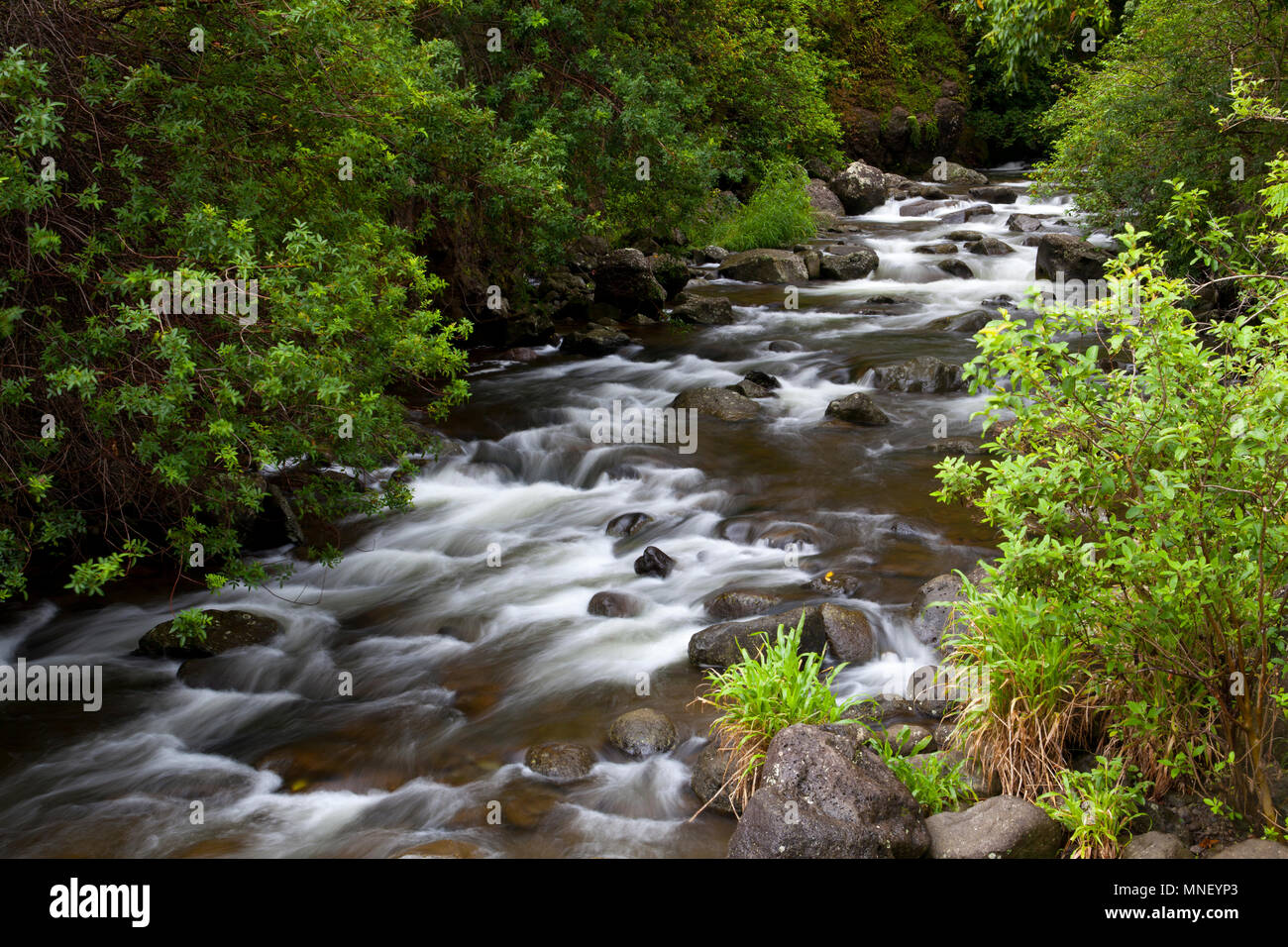 Iao valley hi-res stock photography and images - Alamy