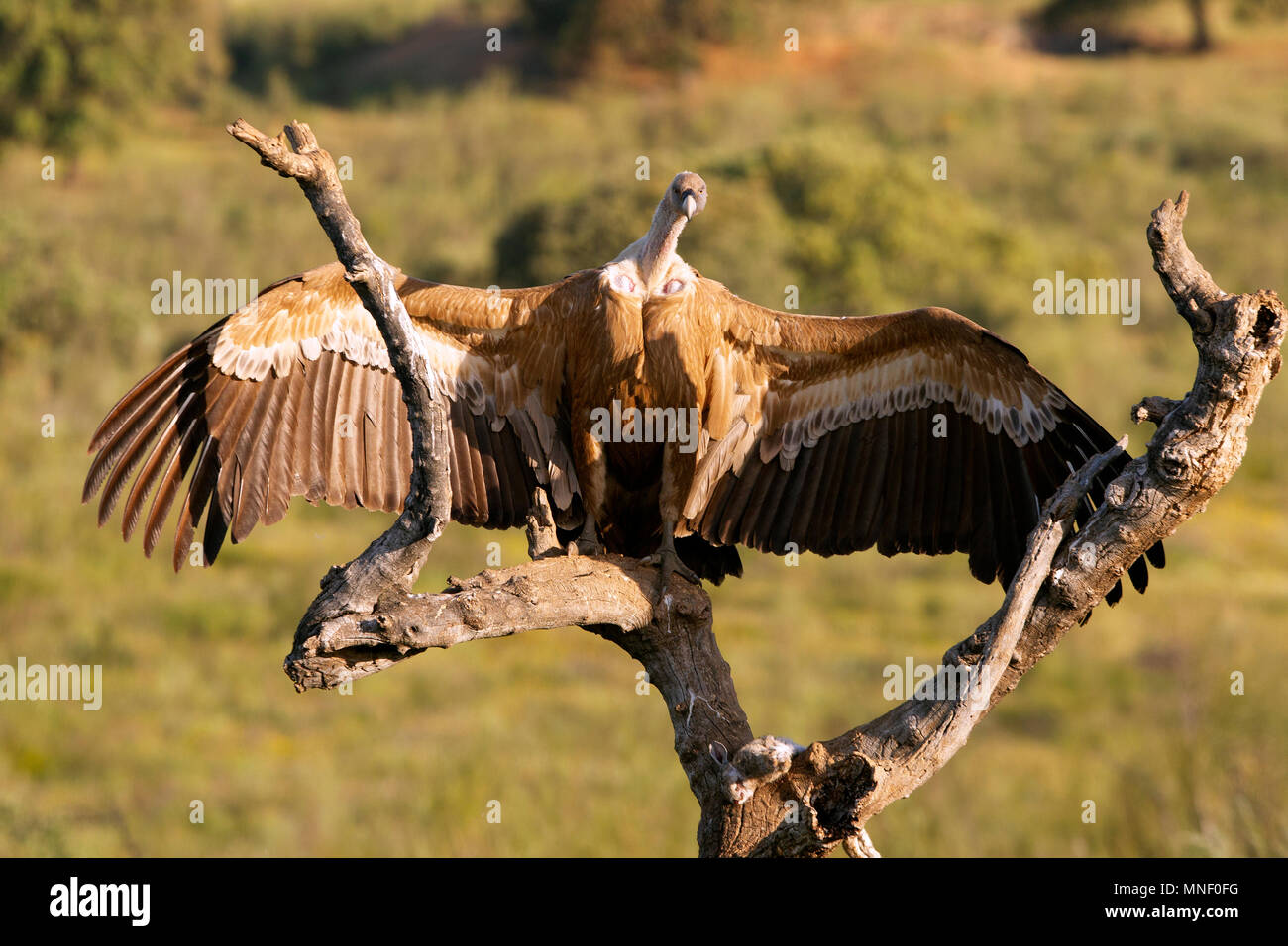 Enviromental portrait hi-res stock photography and images - Alamy