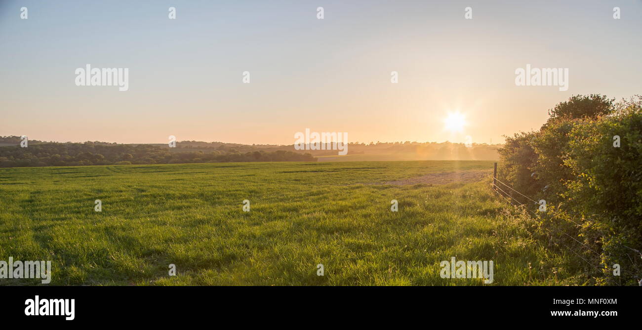 Evening sun setting hi-res stock photography and images - Alamy
