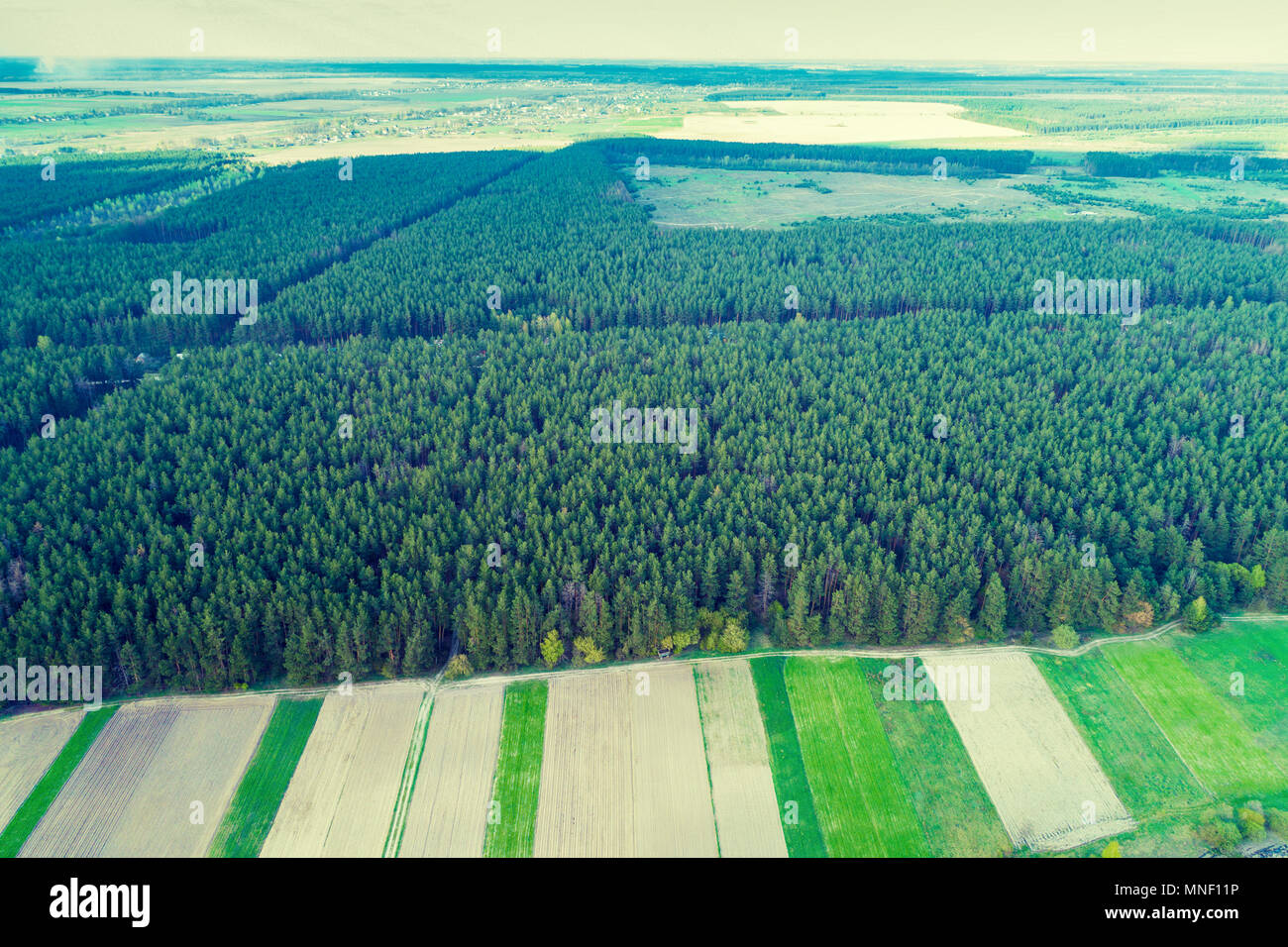 Aerial view of the pine forest and countrysides Stock Photo - Alamy