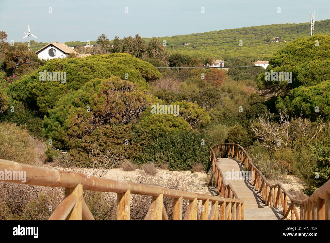 Wooden path towards nature Stock Photo - Alamy
