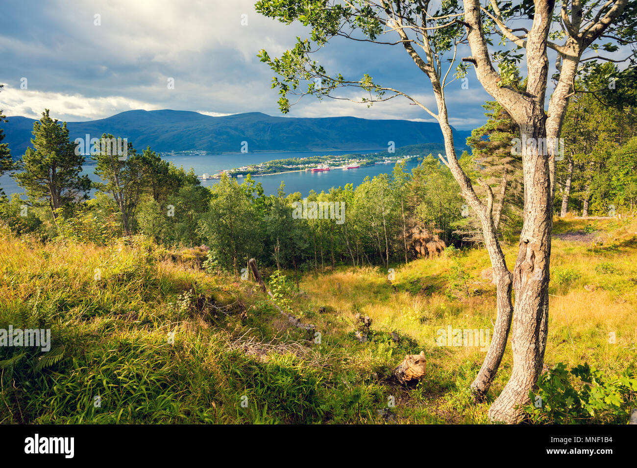 Panoramic view of fjord from mount. Aerial view of Alesund city ...