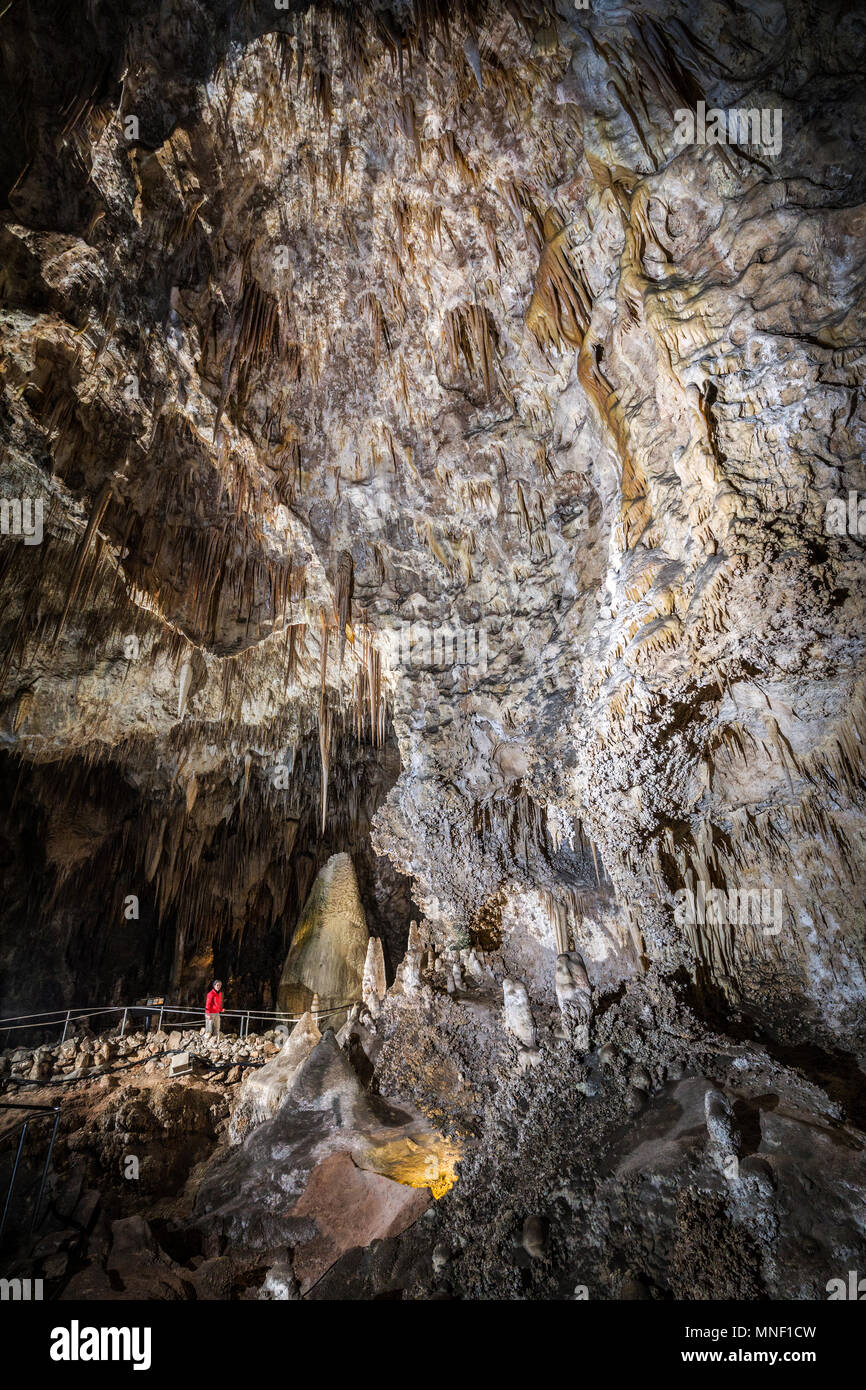 Tourist on trail in Carlsbad Caverns, New Mexico, USA, with lampenflora ...