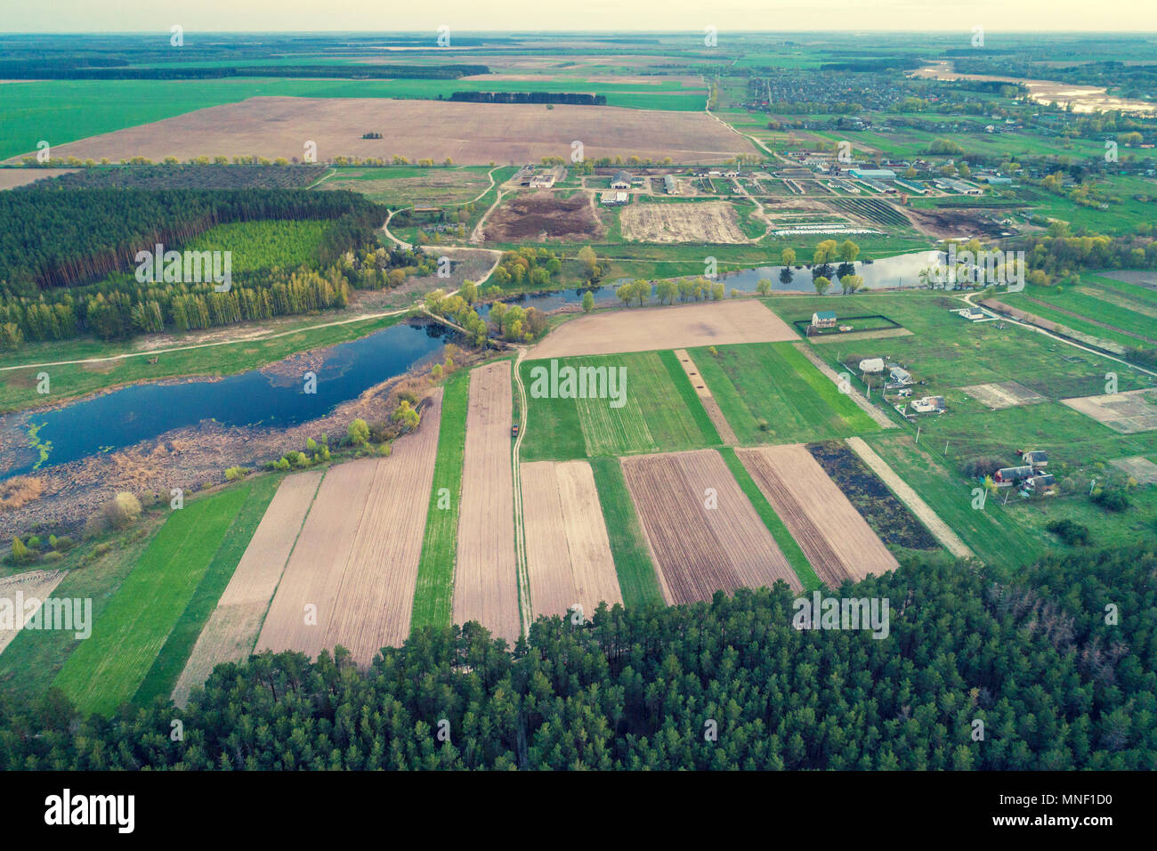 Aerial view of arable fields, pine forest and countrysides Stock Photo ...