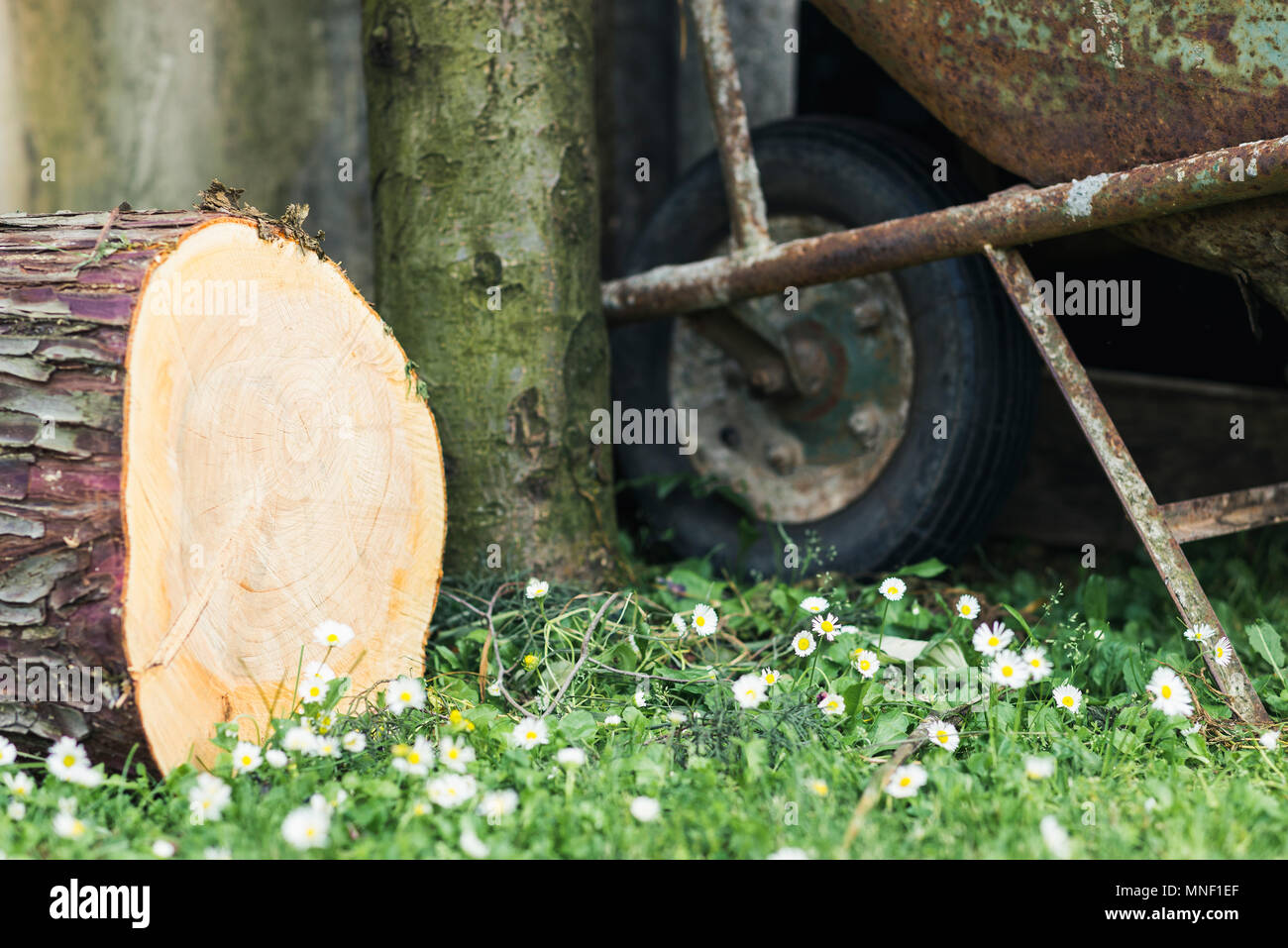 Rustic rural scene with wood Stock Photo - Alamy