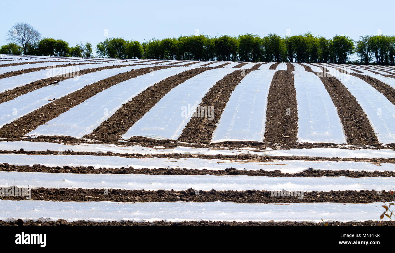 Farming technology hi-res stock photography and images - Alamy