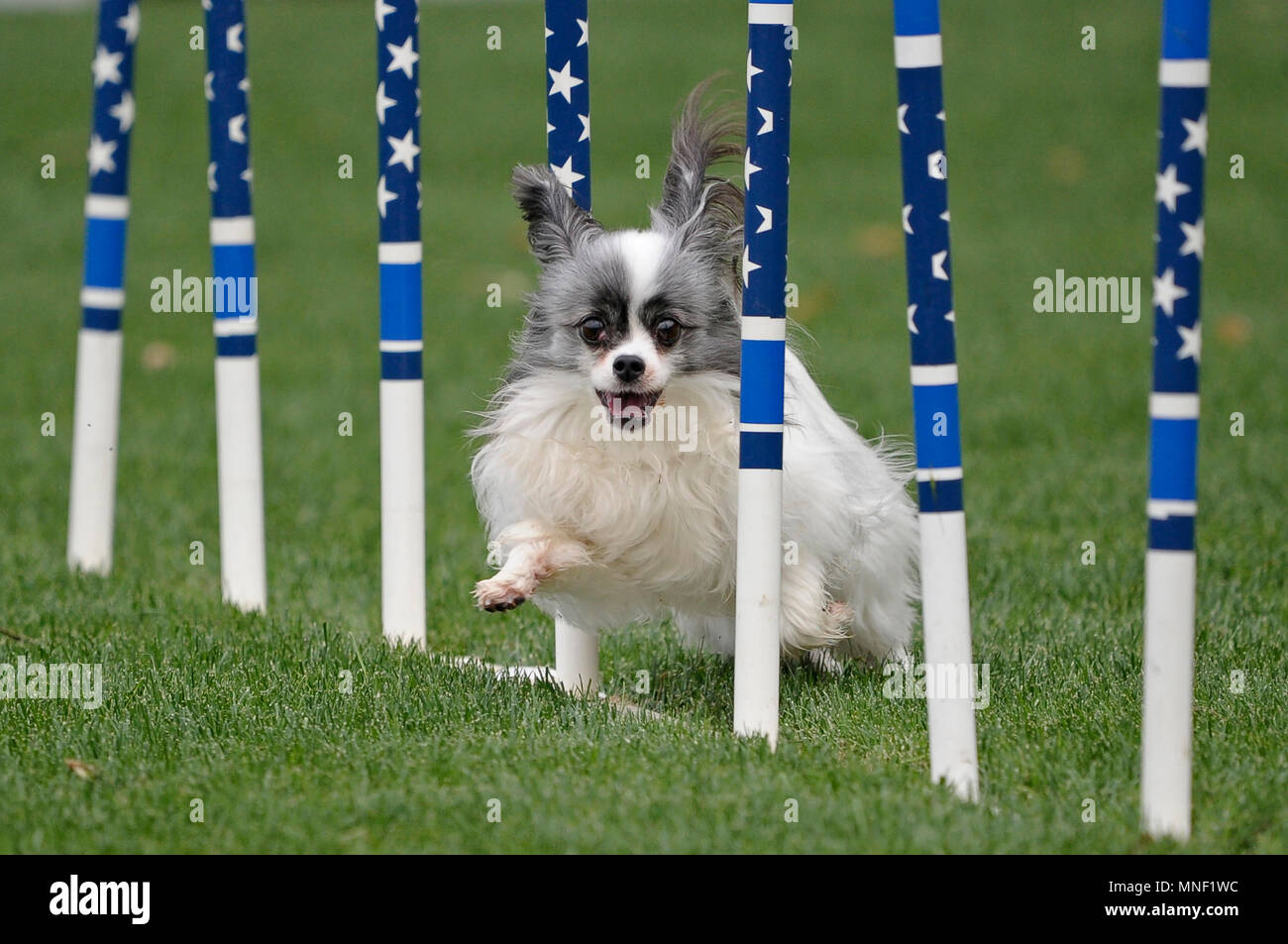 Weaving competition hi-res stock photography and images - Alamy