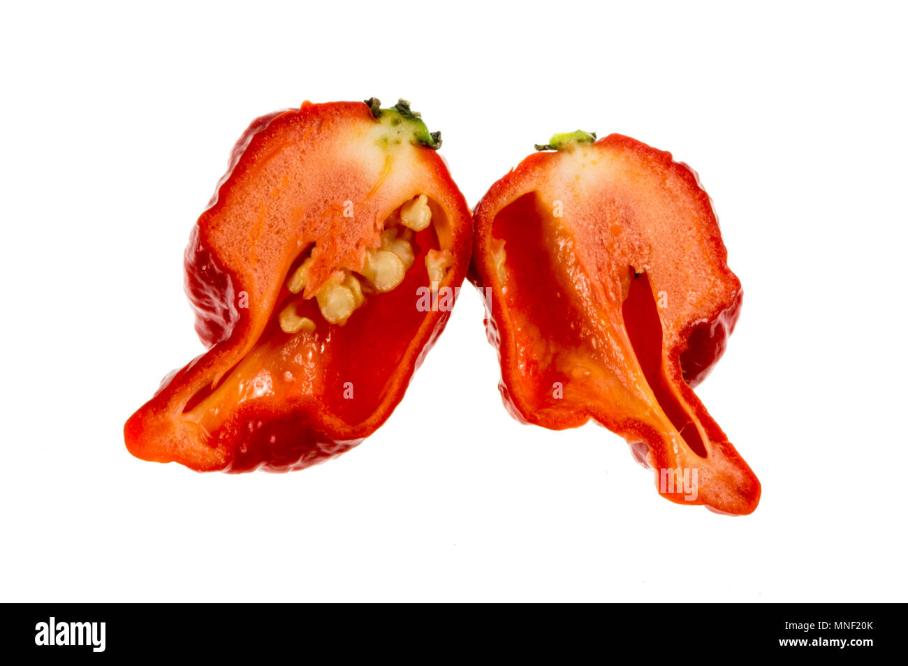The Carolina Reaper is a medium sized chili pepper of the species ...