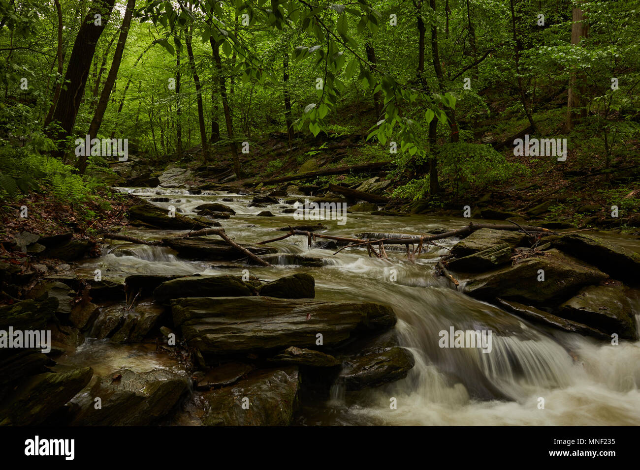 Pequea High Resolution Stock Photography and Images - Alamy