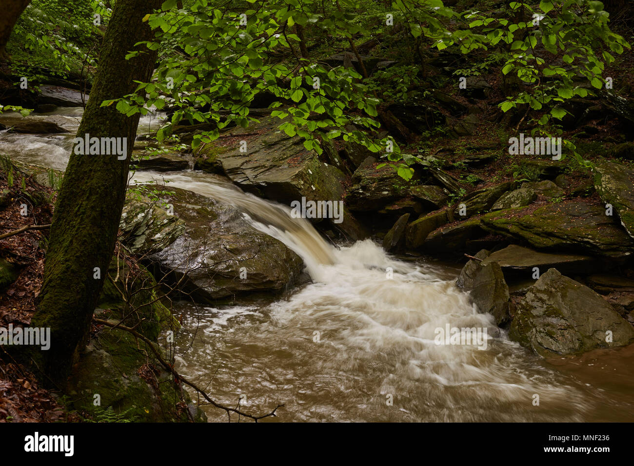 Climber's Run, Pequea, Lancaster County, Pennsylvania, USA Stock Photo ...
