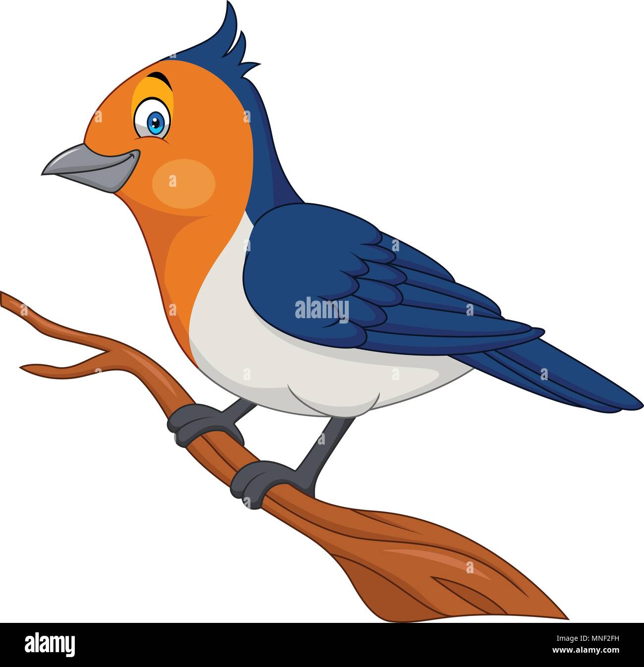 Cartoon bird on a tree branch Stock Vector Image & Art - Alamy