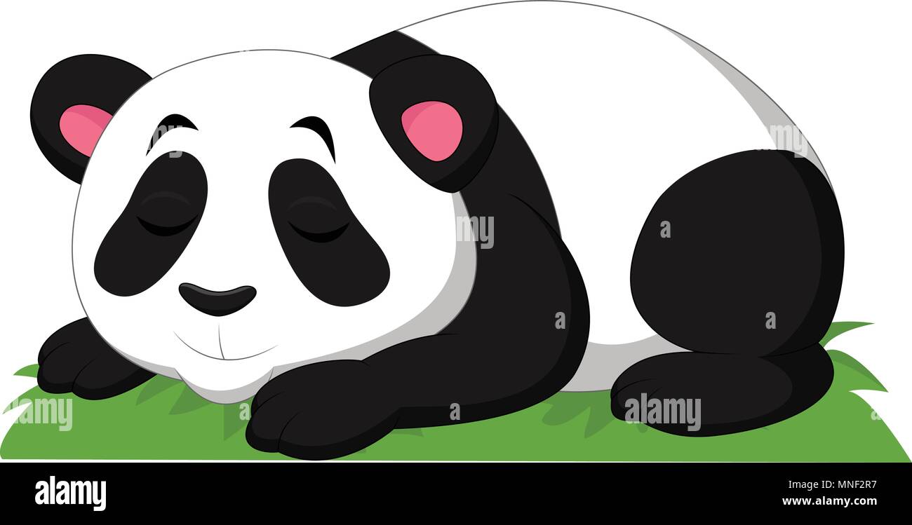Panda Bear Sleeping Cartoon