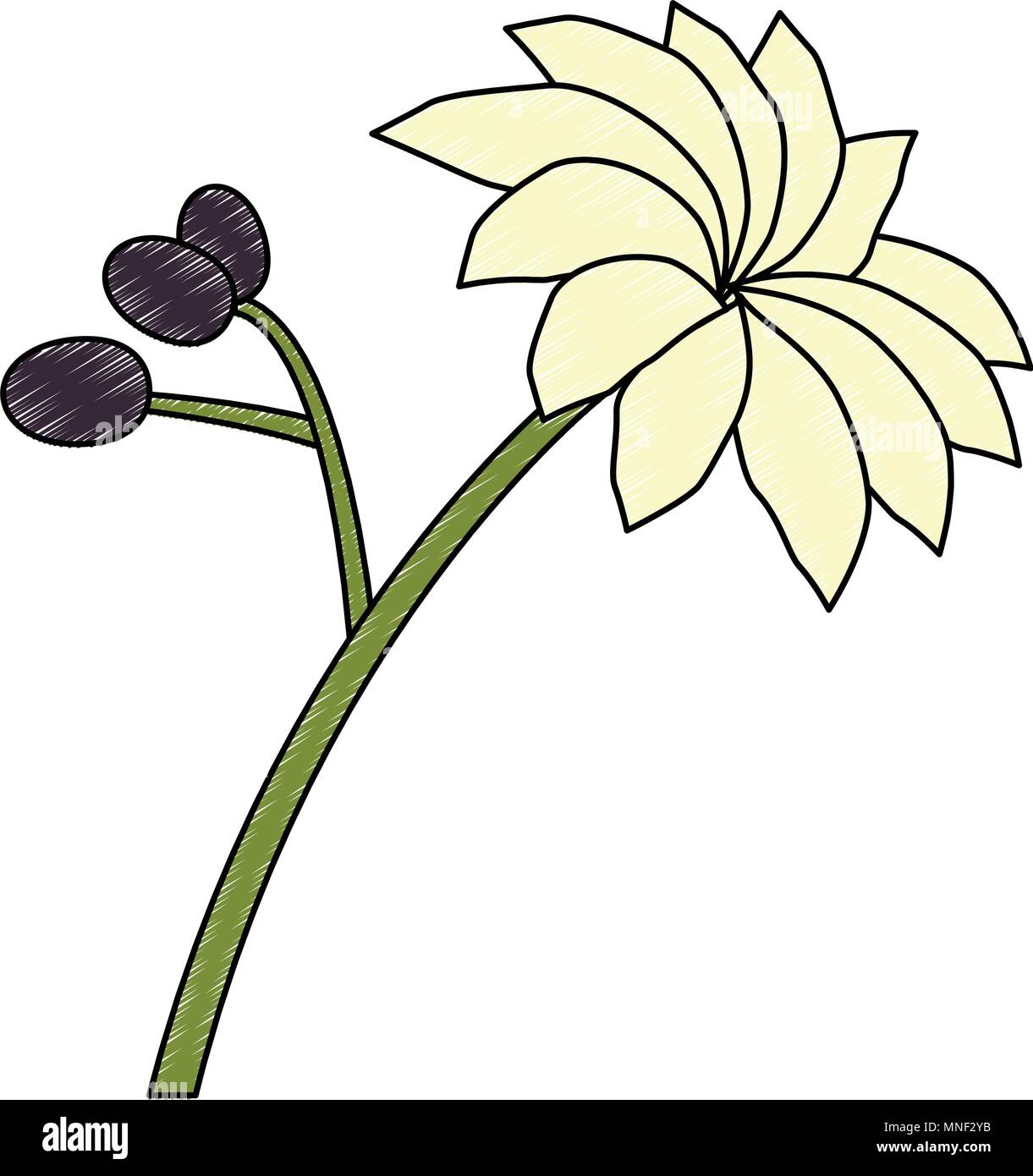 beautiful flower garden icon Stock Vector Image & Art - Alamy