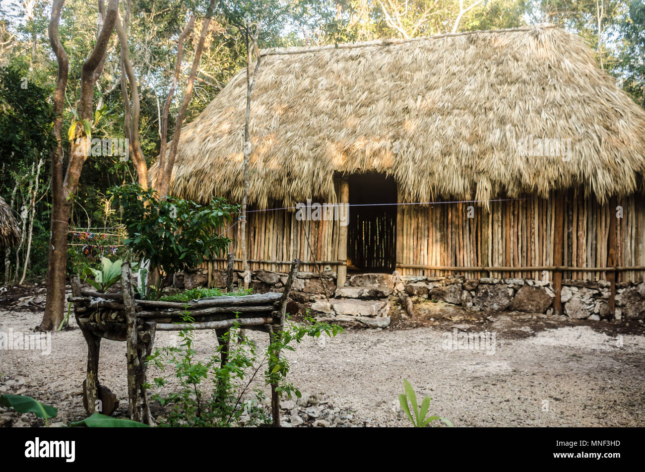 Mayan mexico wood traditional house hi-res stock photography and images ...