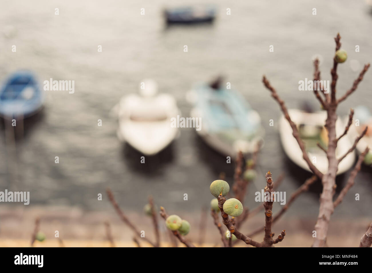 Berth with boats on sea shore Stock Photo - Alamy