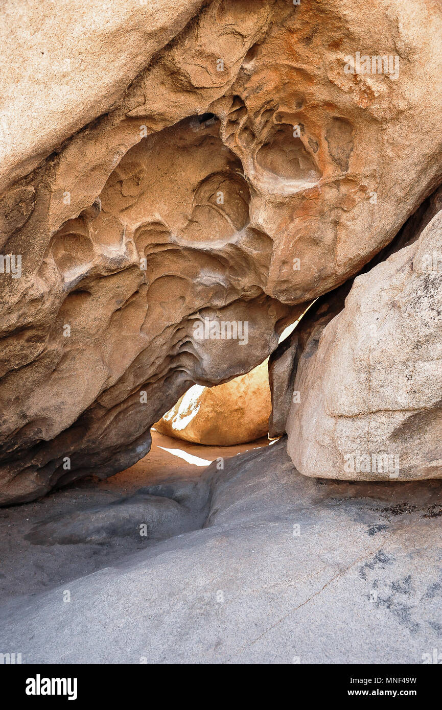 Tree crevice hi-res stock photography and images - Alamy