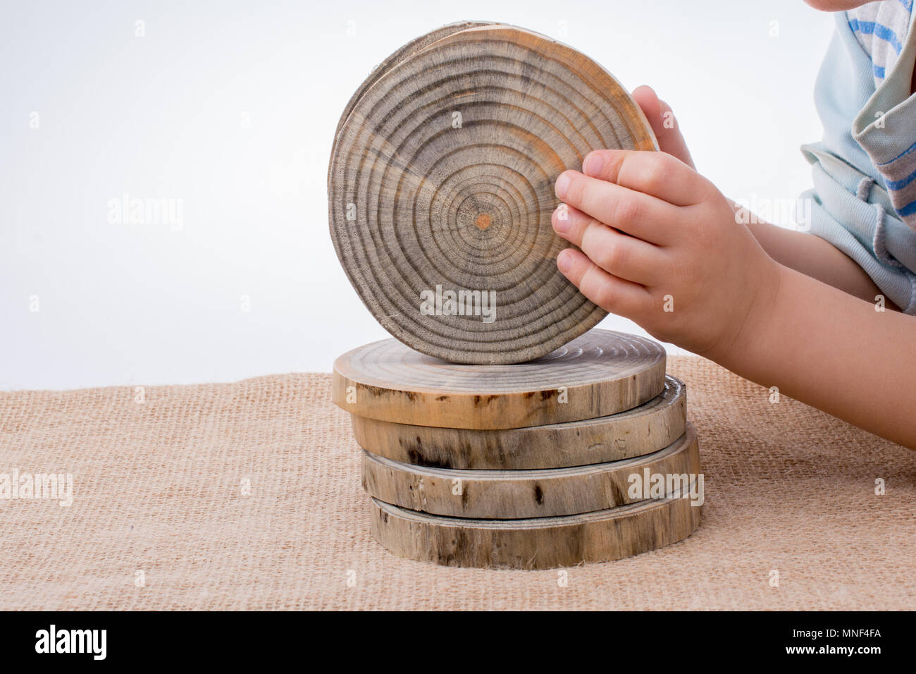 Wood Log cut in round thin pieces in hand Stock Photo - Alamy
