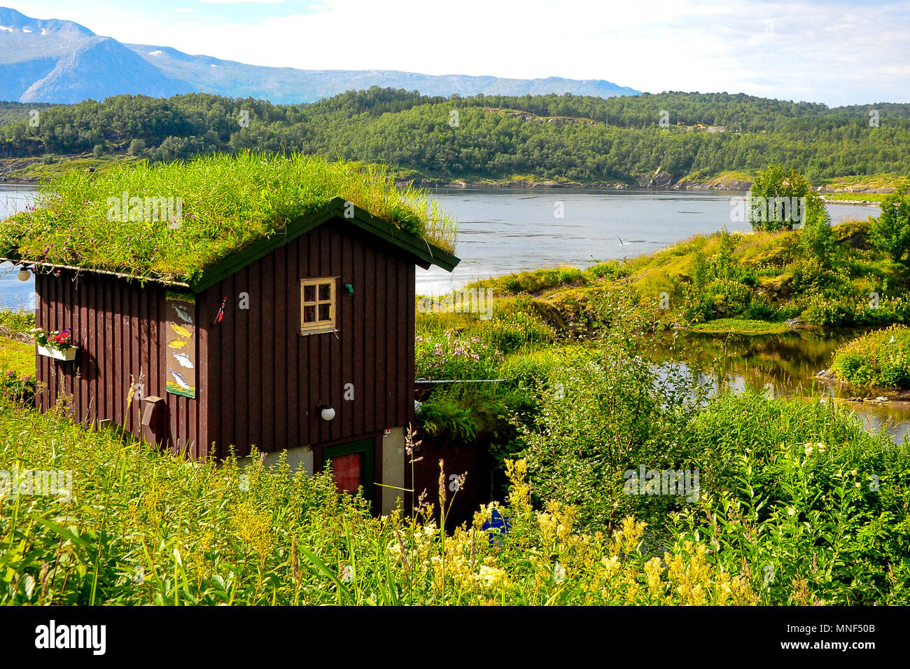 Slatted roof hi-res stock photography and images - Alamy