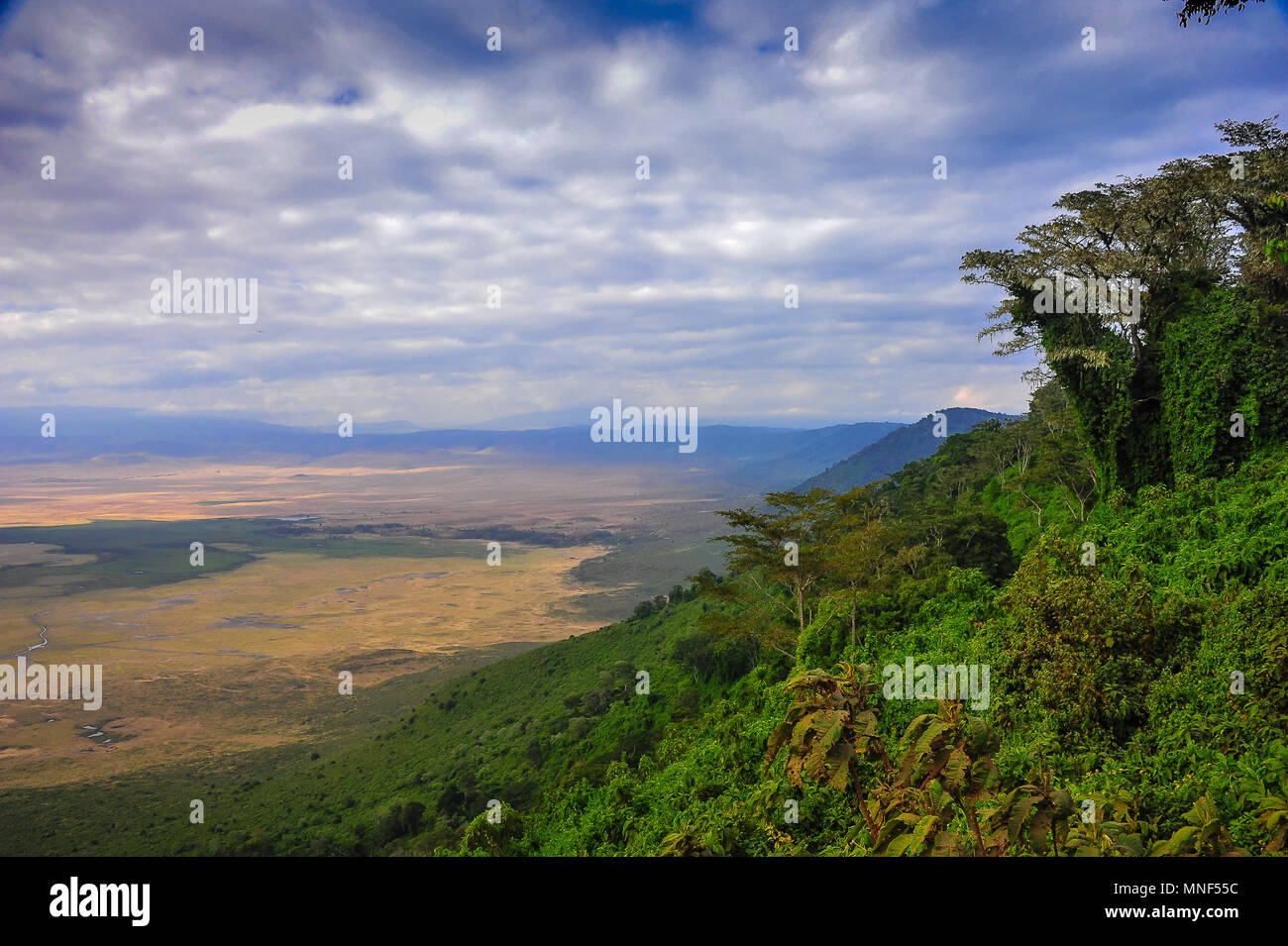 Aerial view ngorongoro crater tanzania hi-res stock photography and ...