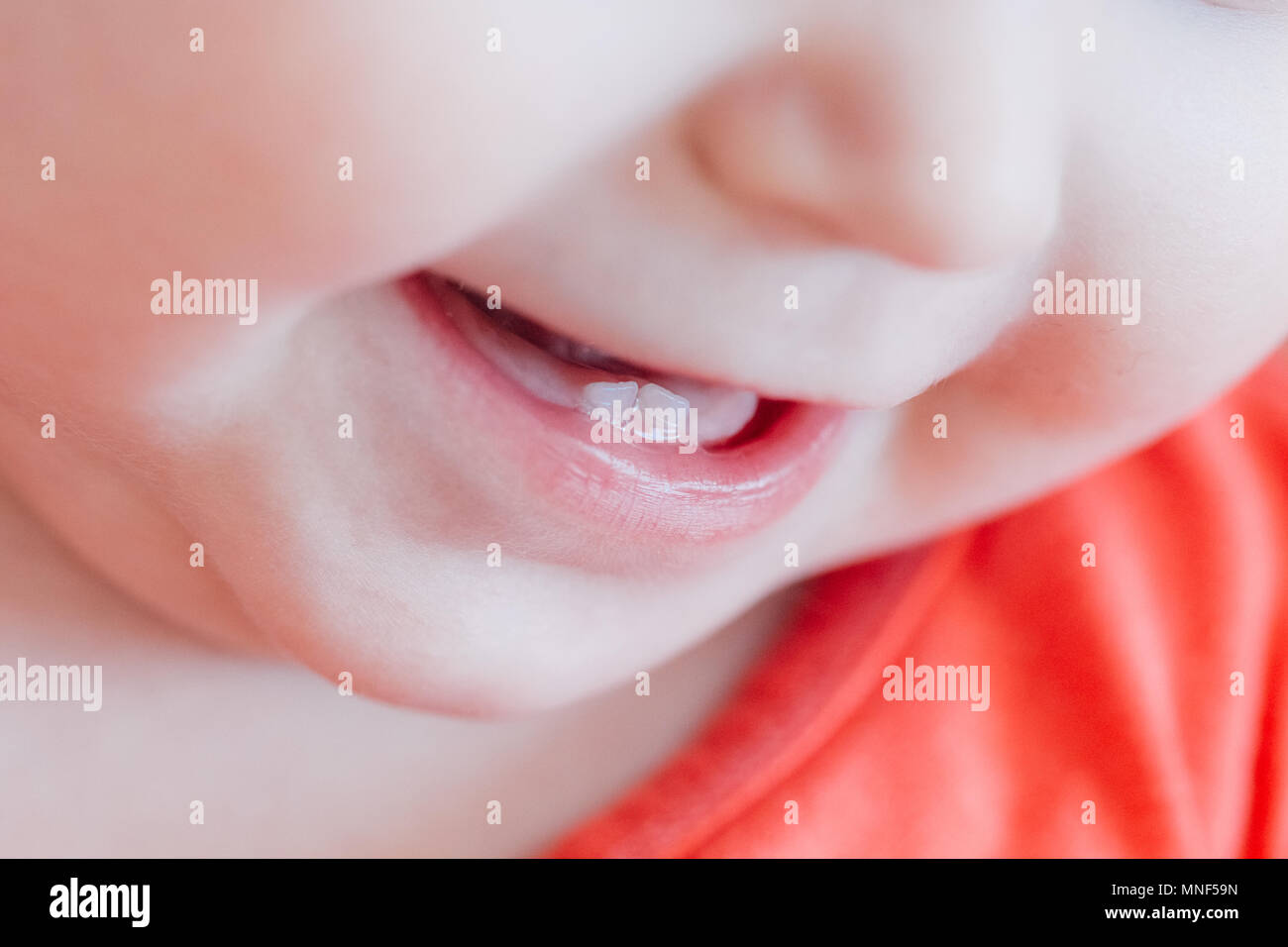 Two baby teeth of a one year old baby in a smile Stock Photo - Alamy