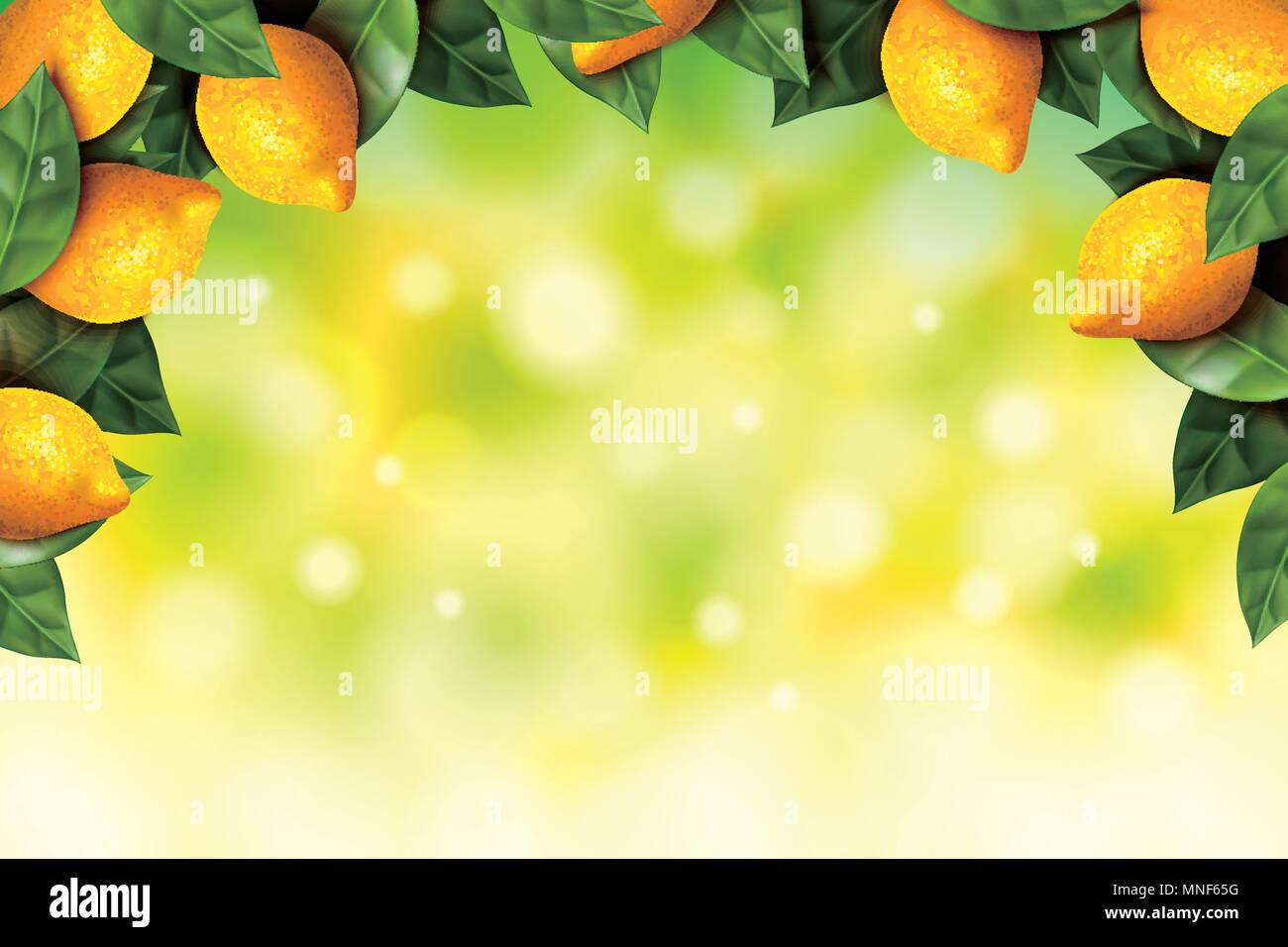 Orchard Stock Vector Images - Alamy