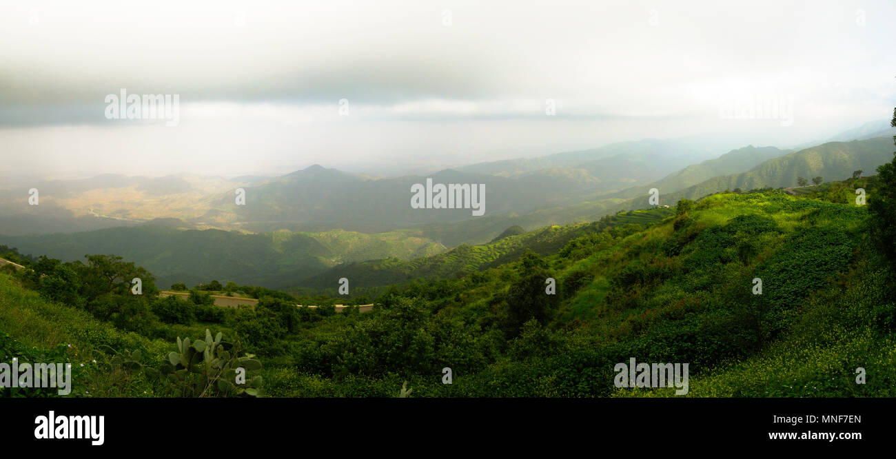 Aerial panoramic view to Filfil rainforest in Eritrea Stock Photo - Alamy